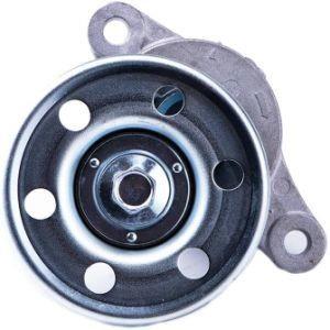 China After-sales Service Yes Tensioner Pulley 17540-77E00 for Suzuki Sx4 Aerio Vitara Esteem for sale