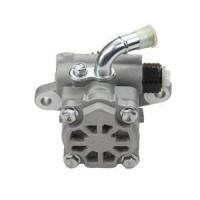 China Standard Steel Power Steering Pump for Toyota Land Cruiser Lkz Hdj100 Uzj100 1HD 02-09 44310-60420 for sale