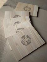 China Customized Breaking Board For Taekwondo In Martial Arts 225*300mm for sale