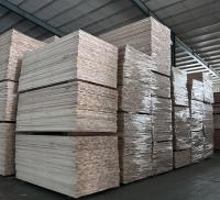 China Get the Best Value with AA Grade Paulownia Wood Sale and After-Sale Service for sale