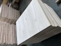 China AA Wood Panel Paulownia Board Chinese Paulownia 2440x1220 or 1200x600 or Customized for sale