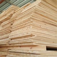 China FSC 100% Certified Paulownia Poplar Panel for Surf Skate Board Snowboard Core Material for sale