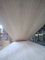 China FSC 100% Certified Paulownia Poplar Panel for Surf Skate Board Snowboard Core Material for sale