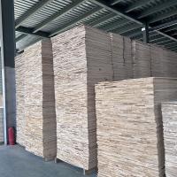 China Upgrade Your Home Decor with FSC Certified Paulownia Slats After-sale Service Included for sale