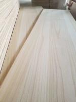 China 280-300kgs/cbm Density Solid Paulownia Wood After-sale Service of Return and Replacement for sale