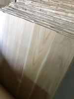 China 2440x1220 or 1200x600 Size 12mm Compressed Paulownia Wood Board with FSC Certificate for sale