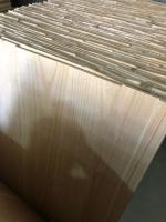 China 2440x1220 or 1200x600 Size 12mm Compressed Paulownia Wood Board with FSC Certificate for sale