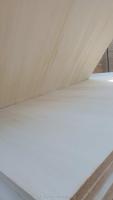 China Contemporary Qingfa FSC Certificate Paulownia Board for Project Solution Capability for sale