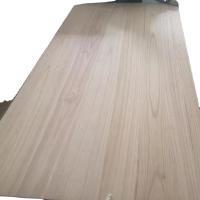China Paulownia Wood Board Glued Timber Panels 16mm Thickness For Living Room for sale