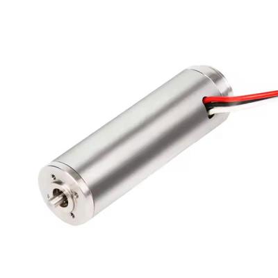 China CNEC2063 Slotless BLDC Motor 12-220W 15000-30000 RPM for Industrial Control and Filling Machinery for sale