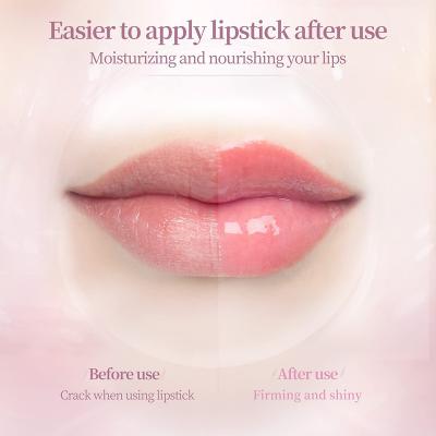 China Moisturizer Anti Wrinkle Konjac Lip Patch OEM ODM for sale