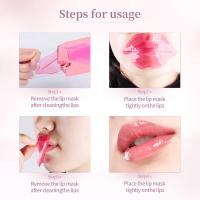 China Organic Konjac Lip Plumping Patches Whitening Firming Lip Sleeping Mask for sale
