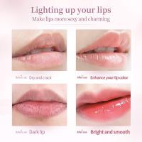 China OEM ODM Konjac Lip Wrinkle Patches Whitening Firming for sale
