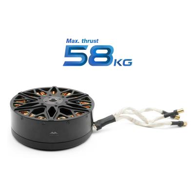 China 15060 High Thrust Brushless DC Motor For Paramotor Lightweight Design for sale