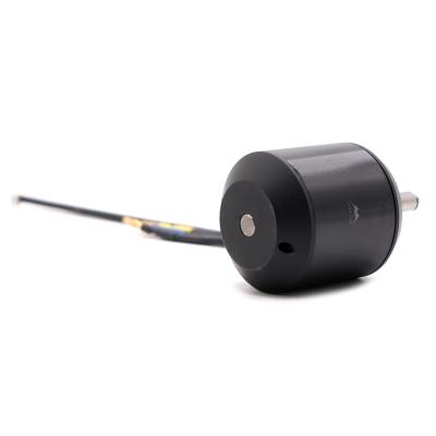 China Lightweight 6384 Brusshless Motor with Customized Shaft for DIY Project Electric Skateboard for sale
