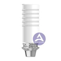 China CoCr Base Castable Abutment for sale
