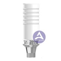 China CoCr Base Castable Abutment for sale