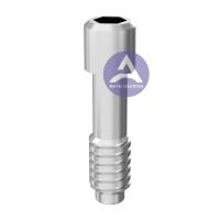 China Megagen Anyridge® Dental Implant Titanium Prosthetic Screw Hex 1.20mm for sale