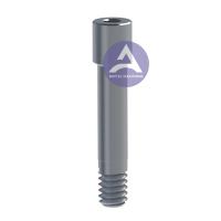 China Dentsply Ankylos® Dental Implant Titanium Screw Hex 1.0mm for sale