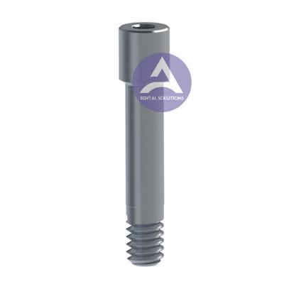 China Dentsply Ankylos® Dental Implant Titanium Screw Hex 1.0mm for sale