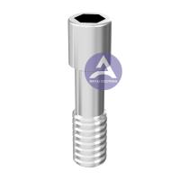 China Alpha-Bio Tec® Dental Implant Abutment Titanium Screw Fits 4.2/5.0/6.0mm for sale