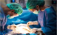 China Odorless Disposable Medical Gloves Nitrile Powder Free Gloves for sale