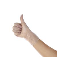 China S M L Xl  Pvc Examination Gloves , Transparent Vinyl Gloves CE Approved for sale