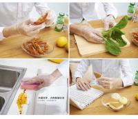China Disposable Transparent Clear Plastic Gloves , oilproof Kitchen Plastic Gloves for sale