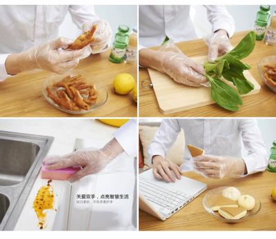 China Disposable Transparent Clear Plastic Gloves , oilproof Kitchen Plastic Gloves for sale