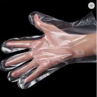 China Disposable Transparent Clear Plastic Gloves , oilproof Kitchen Plastic Gloves for sale