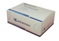 China Rapid Coronavirus Test Kit One Step Usage With High Sensitivity And Specificity for sale