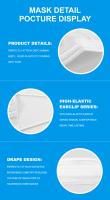 China Nonirritation Earloop Dust Protection Mask Breathable For Adult for sale