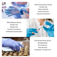 China ASTM D6319 Disposable Medical Gloves Nitrile Exam Gloves Powder Free for sale