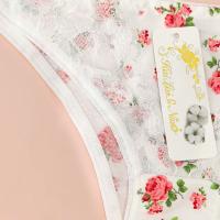 China New Arrival Women Panties High Quality Cotton Wholesale 12pcs/pack Mix Colors One Dozen Women Panties Small Size Panties for sale