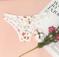 China New Arrival Women Panties High Quality Cotton Wholesale 12pcs/pack Mix Colors One Dozen Women Panties Small Size Panties for sale