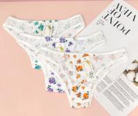 China New Arrival Women Panties High Quality Cotton Wholesale 12pcs/pack Mix Colors One Dozen Women Panties Small Size Panties for sale