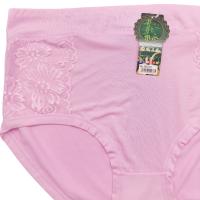 China Women 3XL Briefs High Quality Large Size XXXL One Size Brief Panties 10PCS/PACK Ready to Ship Women Panties XXXL for sale