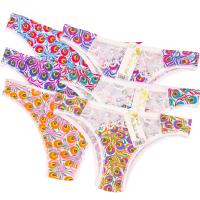 China Kai Lai Si Niao Cotton Girls Underwear Factory Hot Sell  Underwear for Lady Wholesale Cotton Brief Girl Panties for Girls for sale
