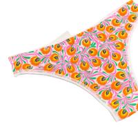 China Kai Lai Si Niao Cotton Girls Underwear Factory Hot Sell  Underwear for Lady Wholesale Cotton Brief Girl Panties for Girls for sale