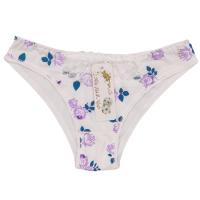 China Hot Selling Women Panties High Quality Cotton Wholesale 12pcs/pack Mix Colors One Dozen Women Panties Small Size Panties for sale