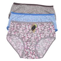 China Warehouse Panties Women Underwear Brief Cheap Price Panties Factory Warehouse Large Stock Women Brief for sale