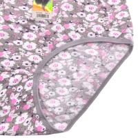 China Warehouse Panties Women Underwear Brief Cheap Price Panties Factory Warehouse Large Stock Women Brief for sale
