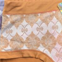 China Woman Underwear 2025 Wholesale Promotion Price Factory Direct Sell Women Panties for sale