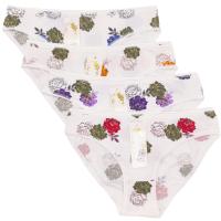 China New Arrival Wholesale Women Panties Printing New Flowers 12PCS/Pack Mix Colors in One Pack for Women Briefs Panties for sale