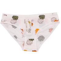 China New Arrival Wholesale Women Panties Printing New Flowers 12PCS/Pack Mix Colors in One Pack for Women Briefs Panties for sale