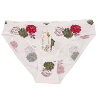 China New Arrival Wholesale Women Panties Printing New Flowers 12PCS/Pack Mix Colors in One Pack for Women Briefs Panties for sale