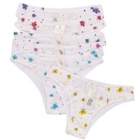 China Women Briefs Printed Flowers New 12PCS/Pack Wholesale Price Printing Lace Briefs Kailaisiniao Brand Briefs for Women for sale