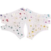 China Women Briefs Printed Flowers New 12PCS/Pack Wholesale Price Printing Lace Briefs Kailaisiniao Brand Briefs for Women for sale