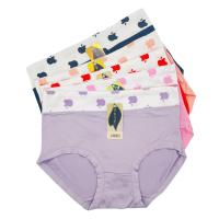 China Inner Wears for Ladies Multi-Colors Underwear for Lady Wholesale Polyester Panties Briefs Women for sale