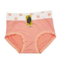 China Inner Wears for Ladies Multi-Colors Underwear for Lady Wholesale Polyester Panties Briefs Women for sale